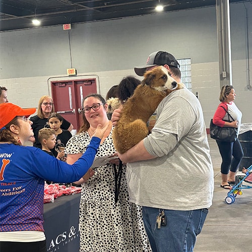 LOU ADOPTS! Mega Adoption Event 2024!